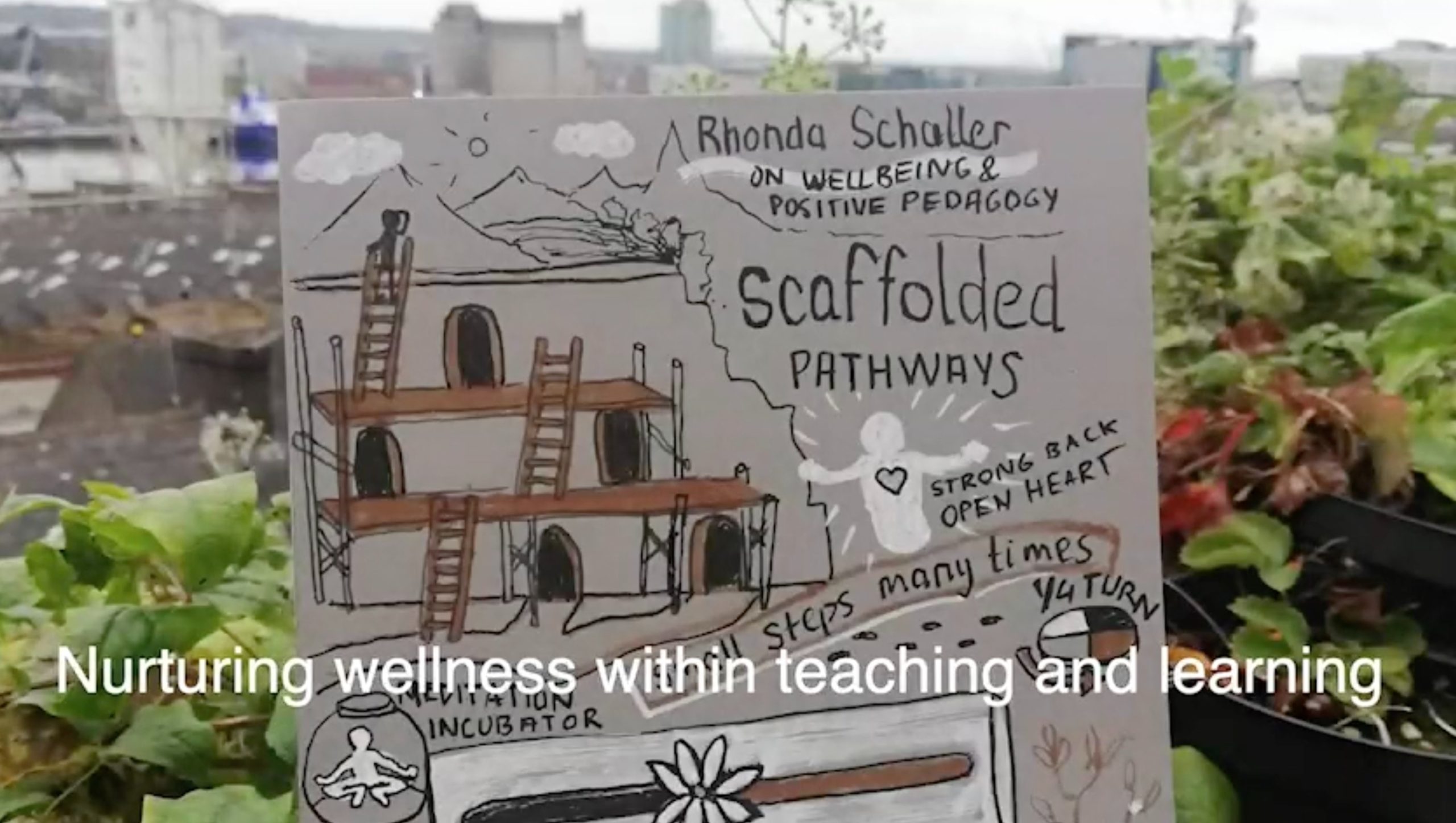 Nurturing Wellness in Teaching and Learning - National Resource Hub